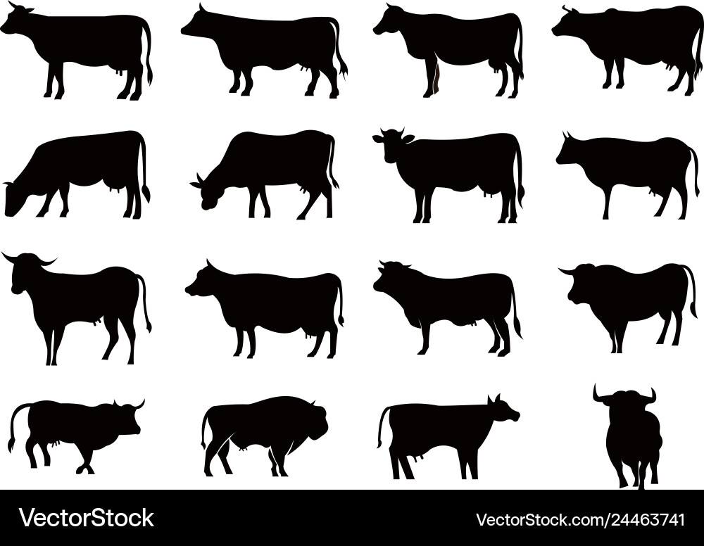 Cow portrait Royalty Free Vector Image - VectorStock