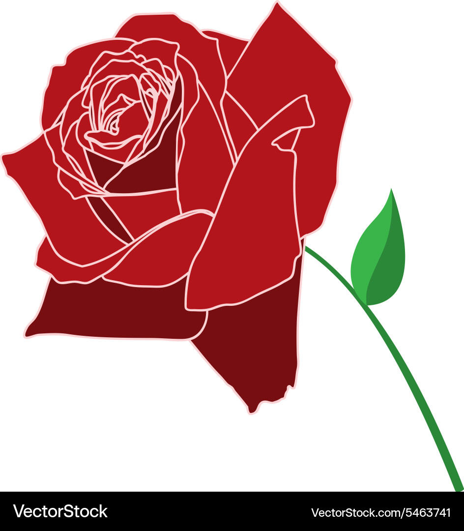 Rose Royalty Free Vector Image - VectorStock