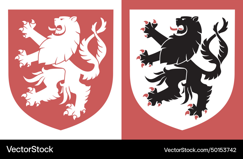 Standing heraldic lion on a shield background Vector Image