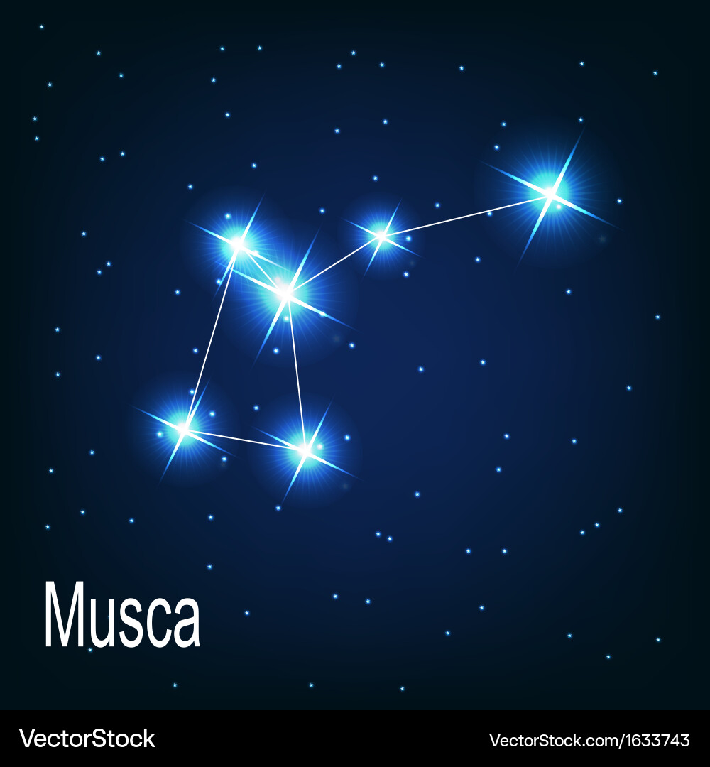 Constellation De Musca Explore The Wonders Of Musca Constellation