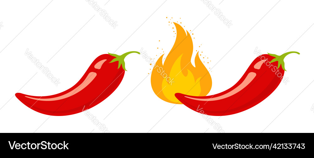 Mild and hot chilli pepper chili for thai Vector Image