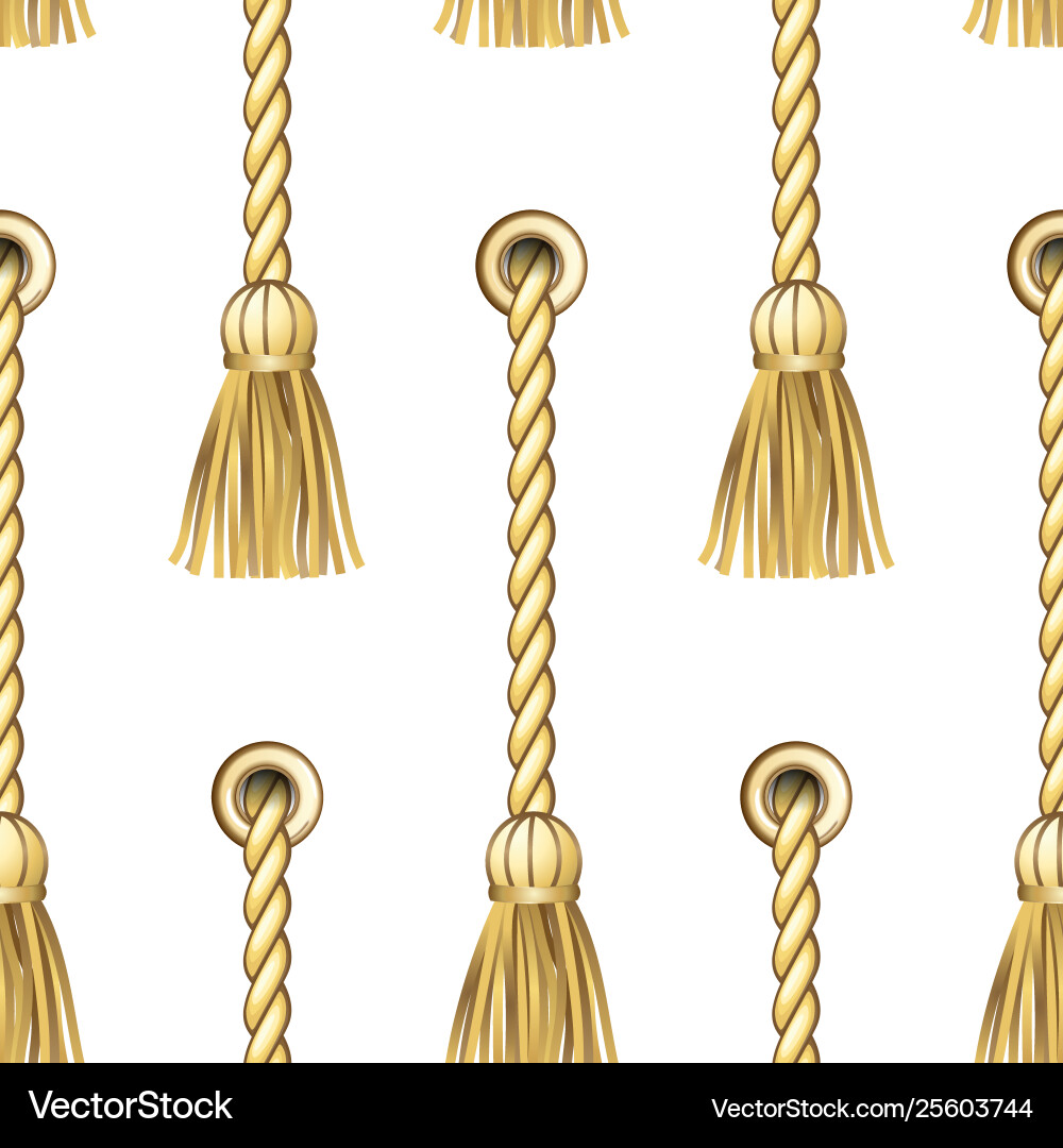 Golden vertical straped ropes with brushes metal Vector Image