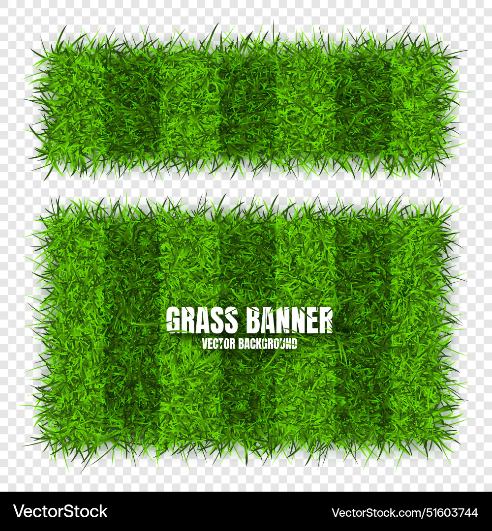 Green grass banners background field meadow Vector Image