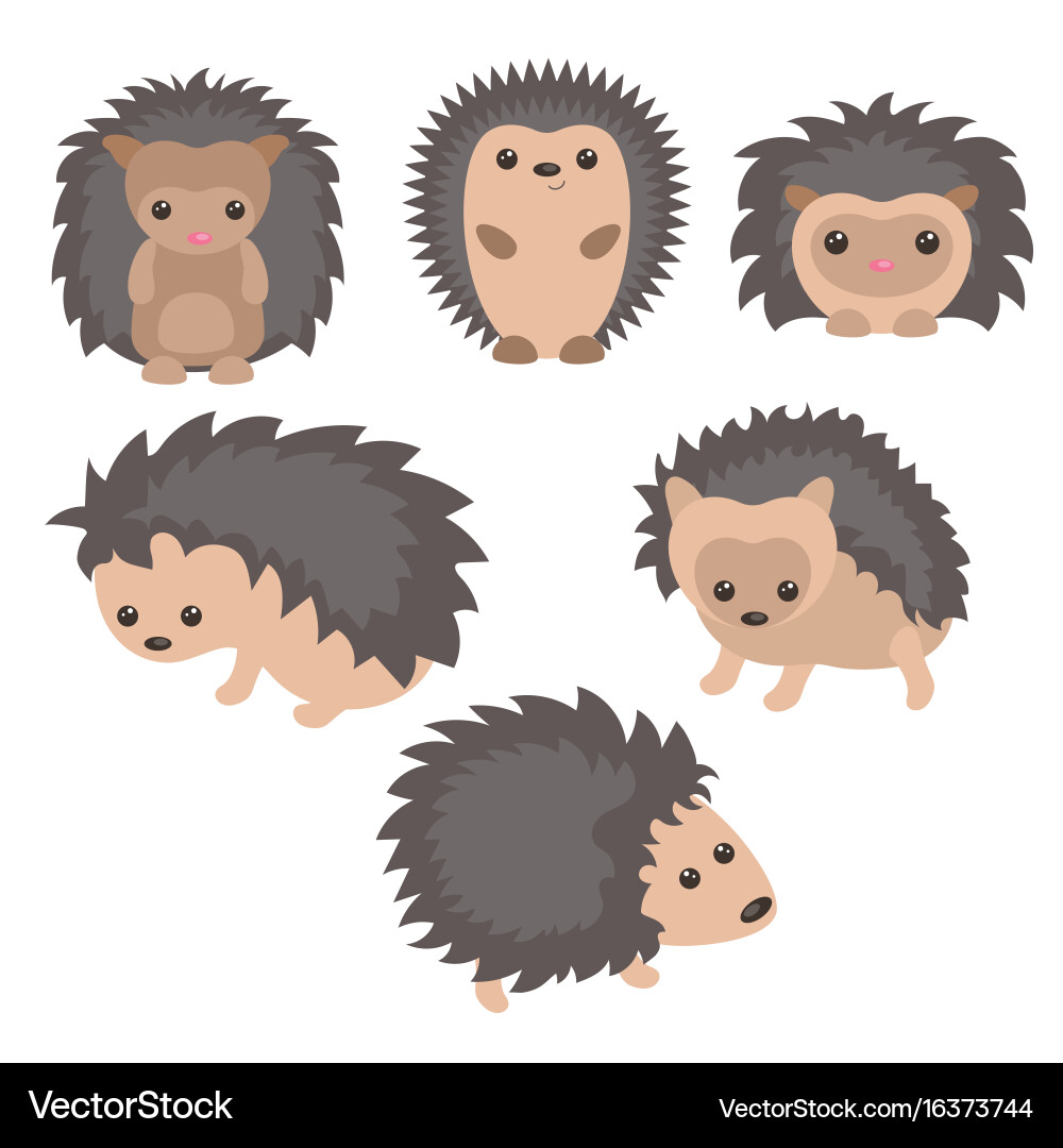 Set of cute hedgehogs Royalty Free Vector Image