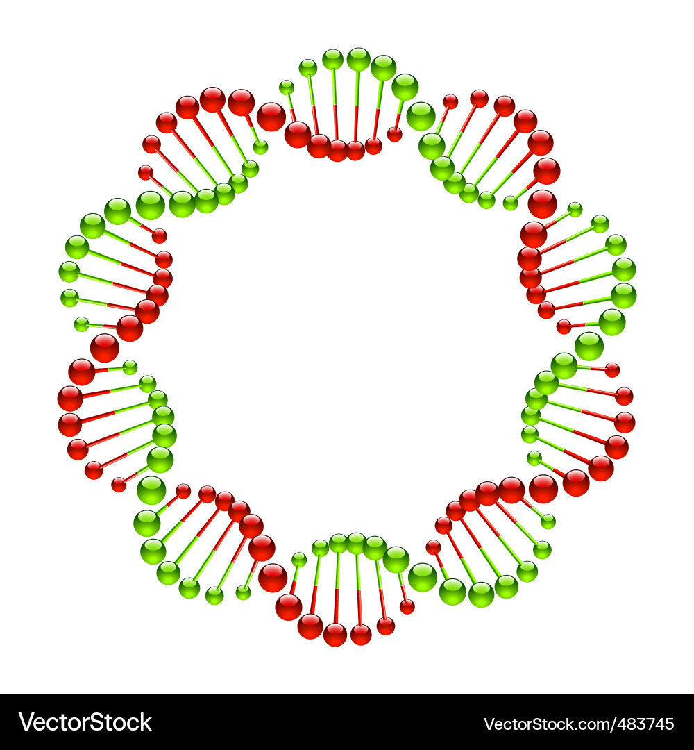 Dna strands Royalty Free Vector Image - VectorStock