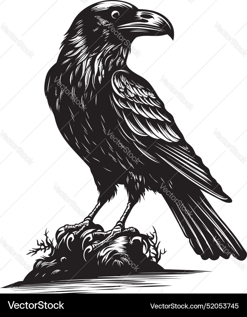 Enigmatic ravens roost skull rest graphic Vector Image