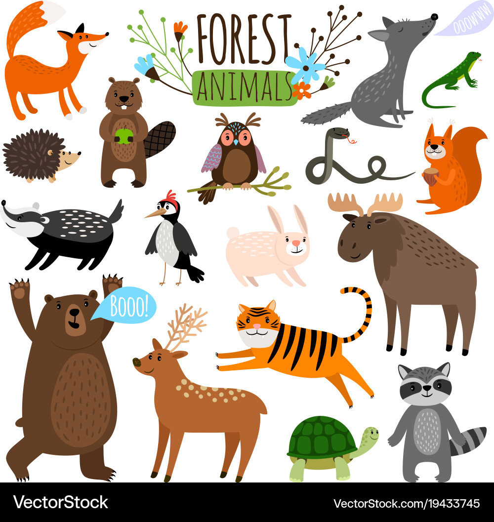 Forest animals set Royalty Free Vector Image - VectorStock