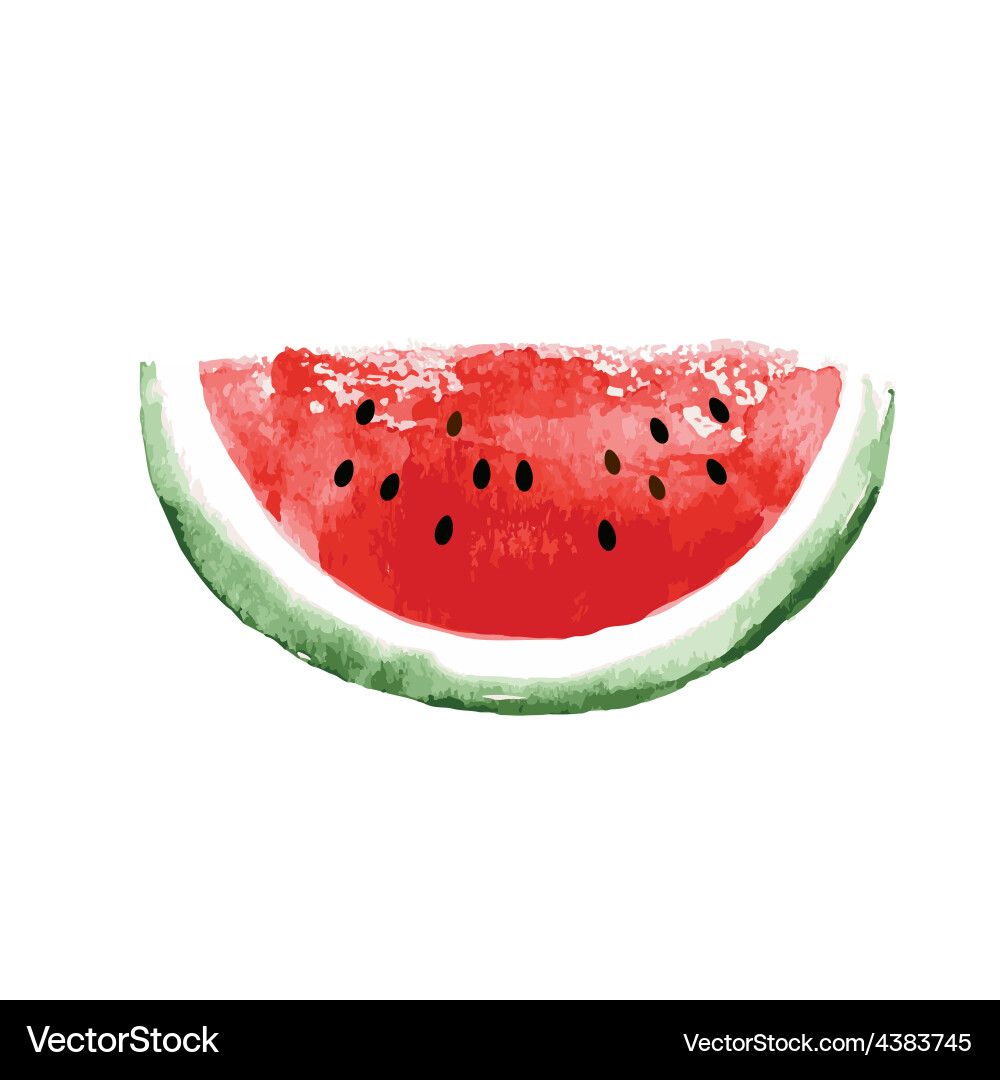 Watercolor watermelon Royalty Free Vector Image