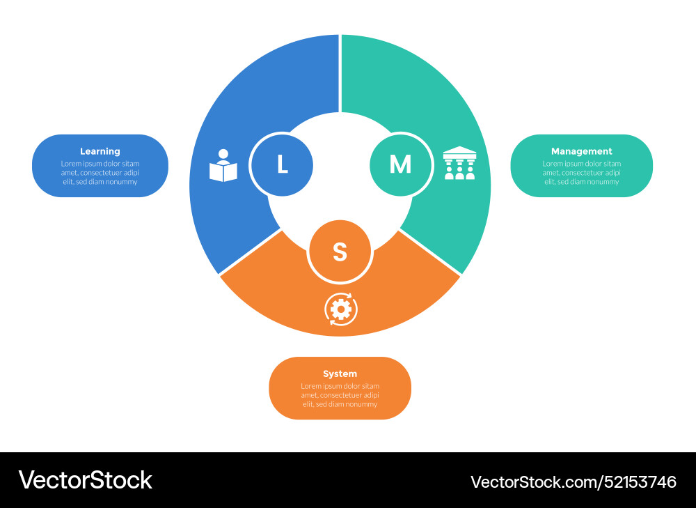 Lms learning management system infographics Vector Image