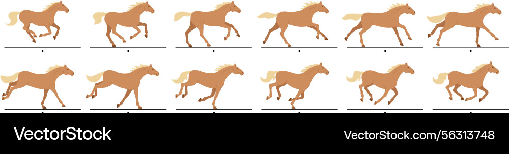 Cartoon running horse animation frames galloping Vector Image