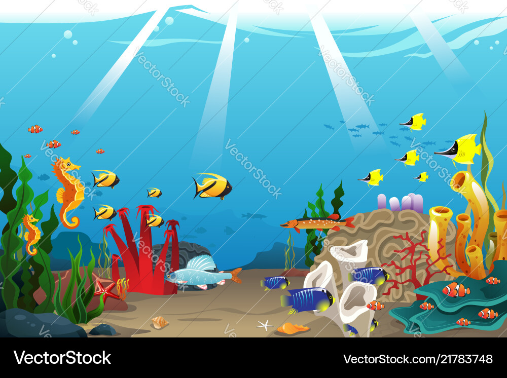 Marine life Royalty Free Vector Image - VectorStock