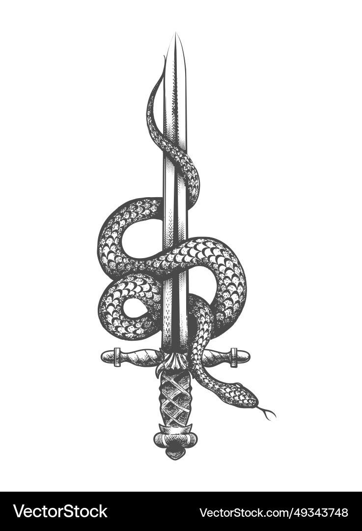 Snake wrapped around the rising sword valor Vector Image