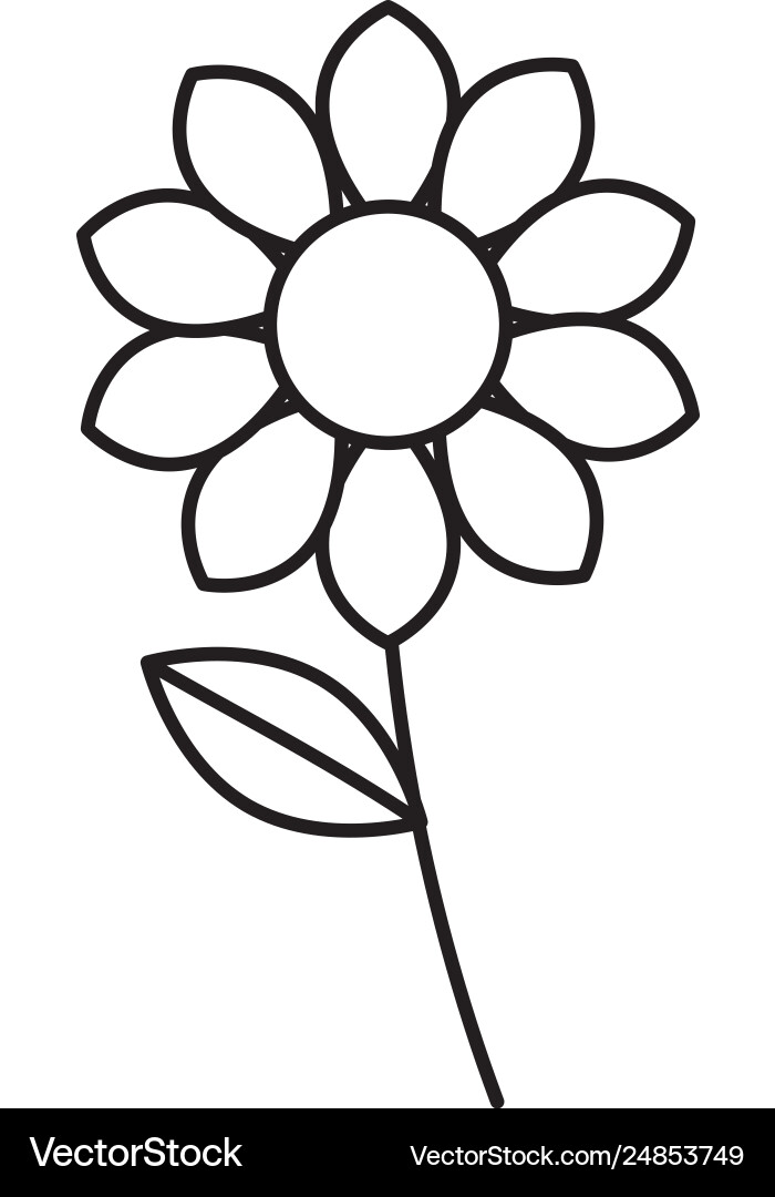 Beautiful flower drawing monochrome Royalty Free Vector