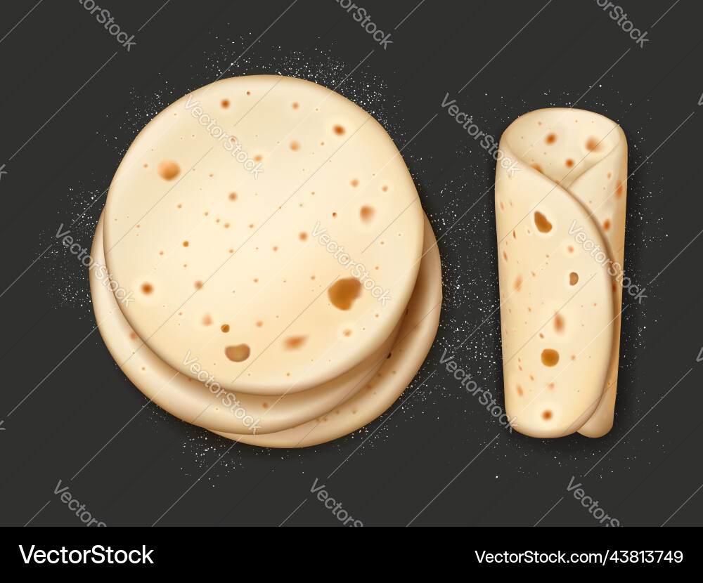 Realistic pita bread with flour lavash Royalty Free Vector
