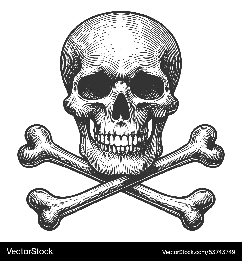 Skull and crossbones engraving Royalty Free Vector Image