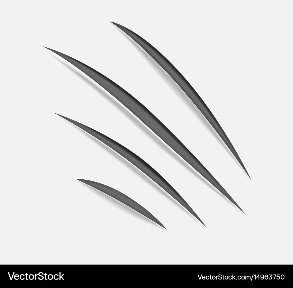 Claw scratches Royalty Free Vector Image - VectorStock