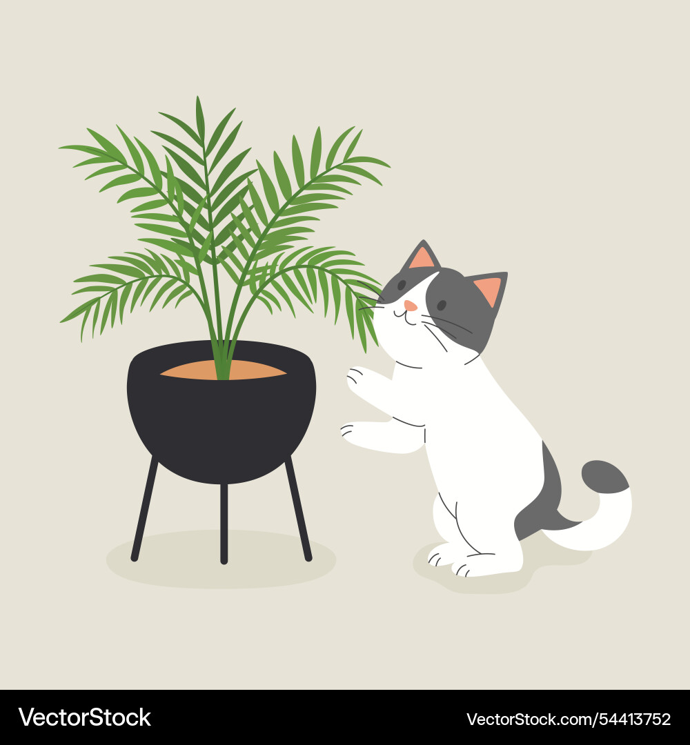 Cute cartoon flat cat reaching for a potted Vector Image