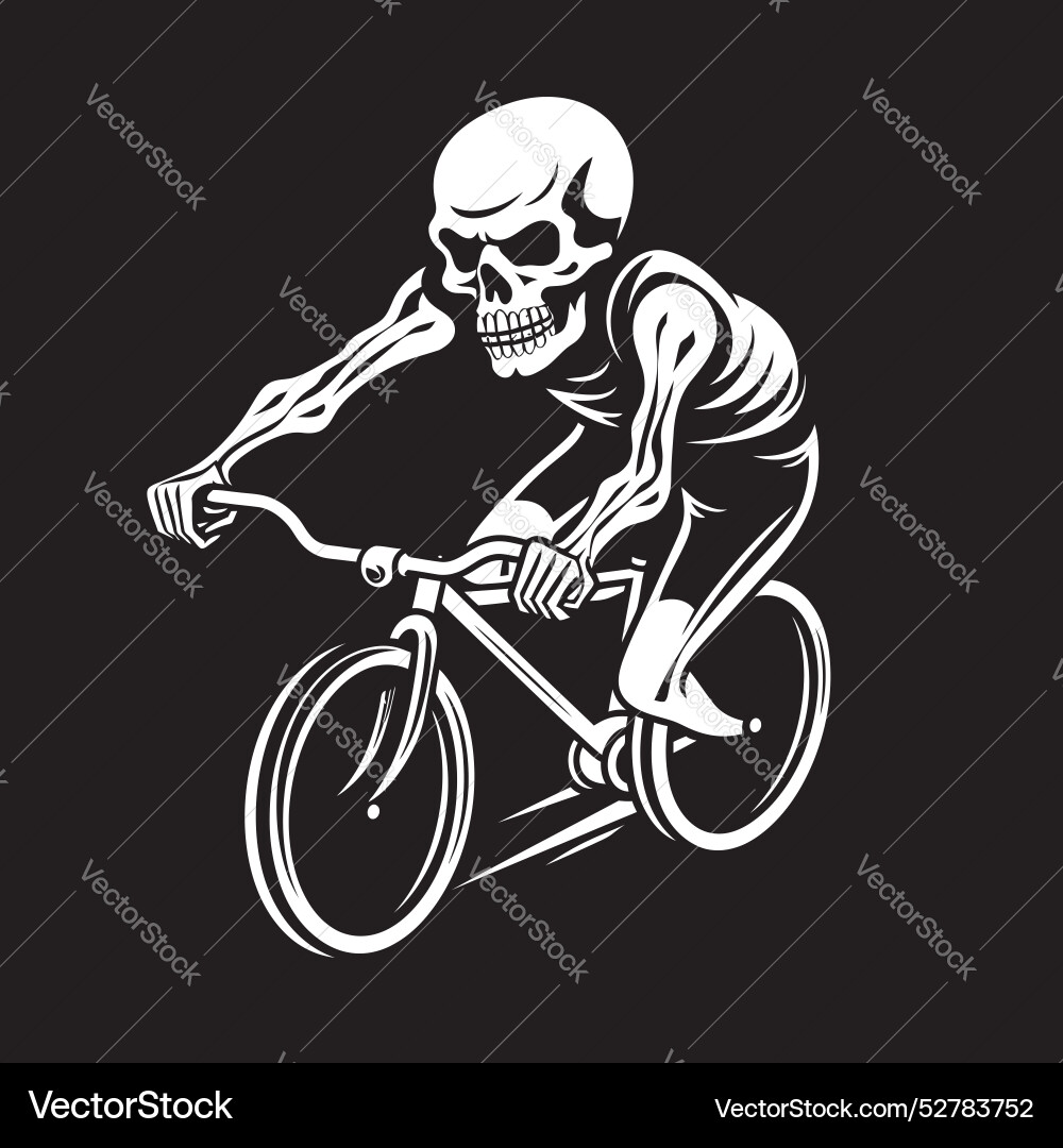 Skull cruiser iconic bicycle rider graphics Vector Image