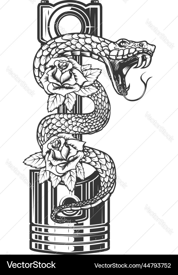 Snake on car piston and roses design element Vector Image