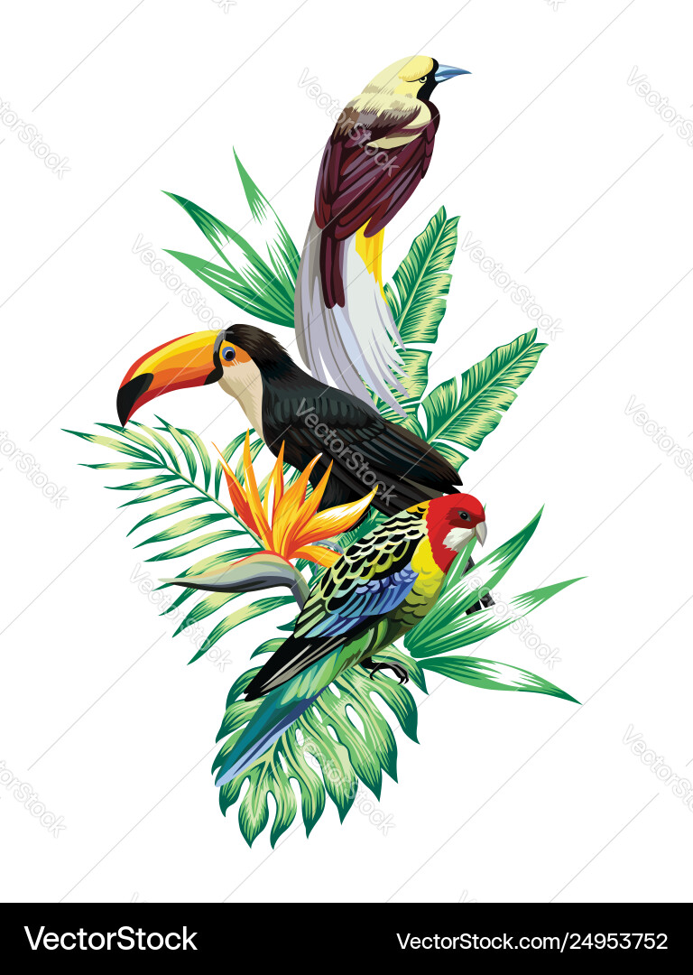 Tropical birds composition Royalty Free Vector Image