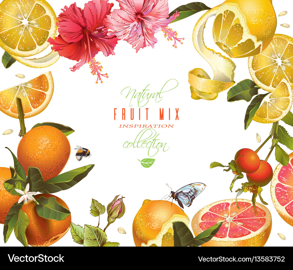 Vintage citrus frame Royalty Free Vector Image