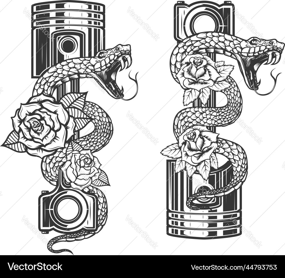 Snake on car piston and roses design element Vector Image
