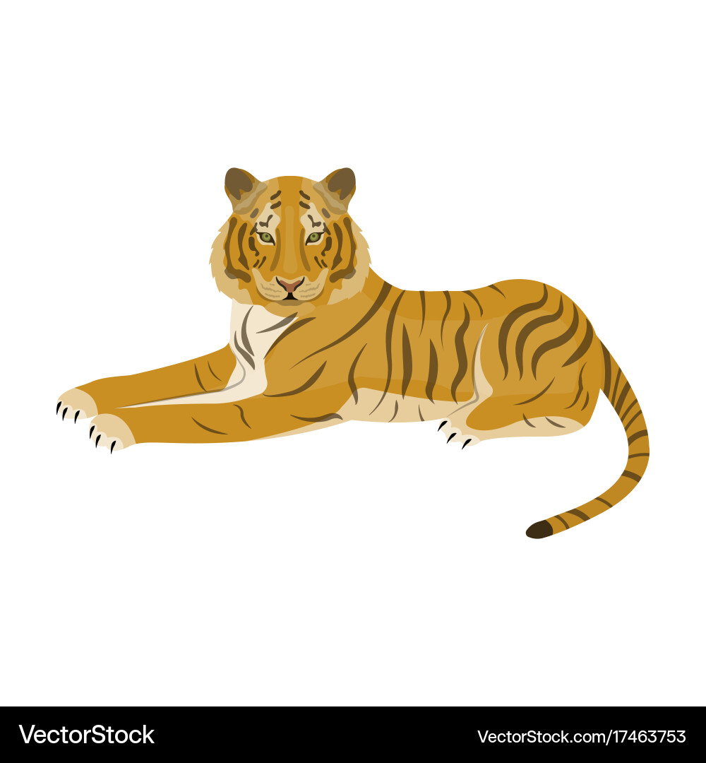 Tiger a predatory animal the belgian Royalty Free Vector