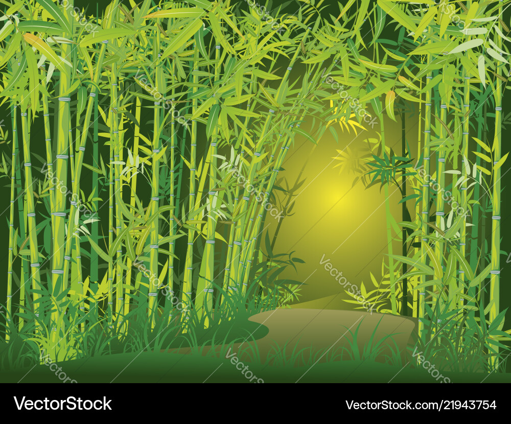 Asian Bamboo Forest Royalty Free Vector Image - VectorStock