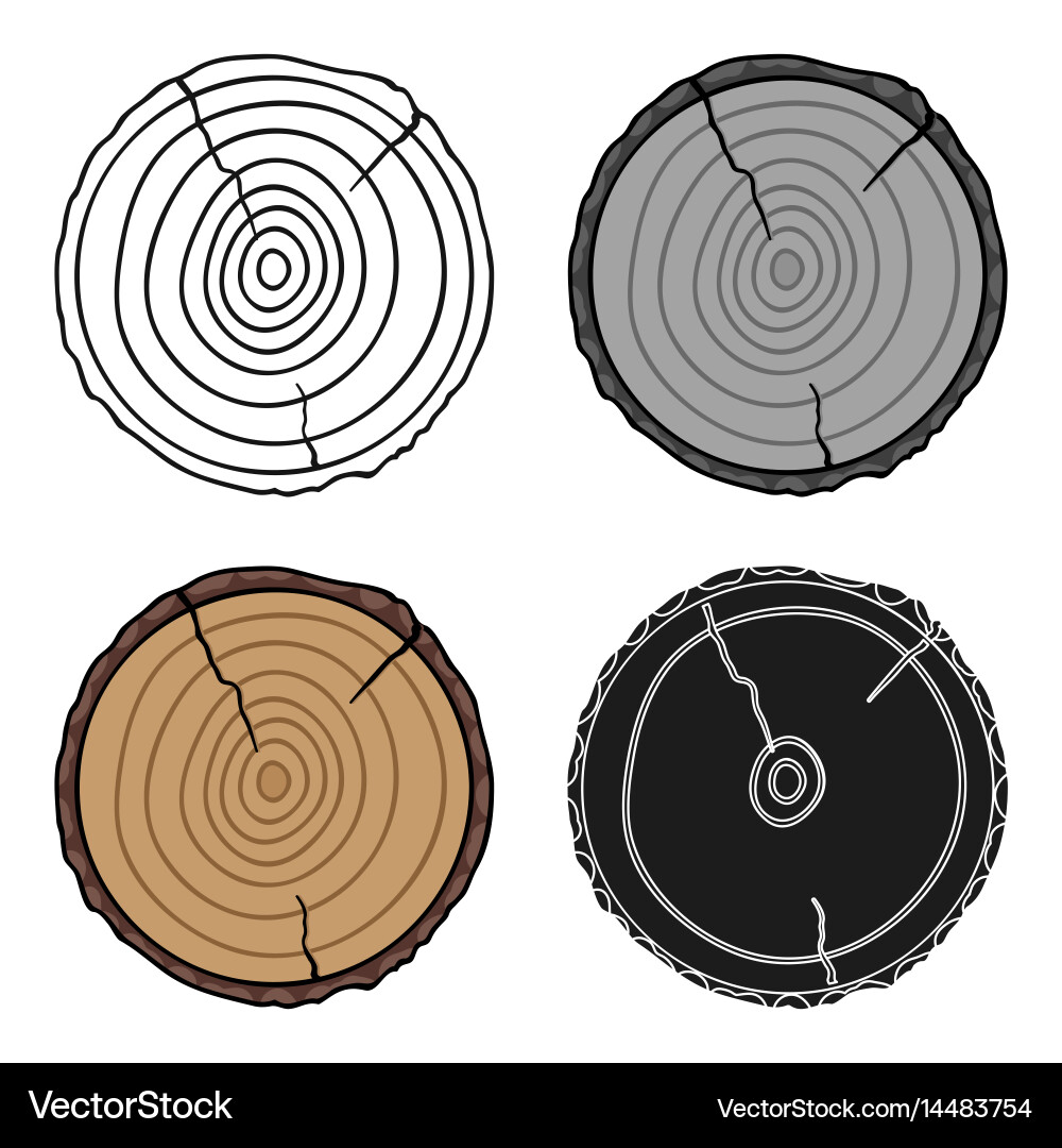 Cross section icon in cartoon style isolated Vector Image