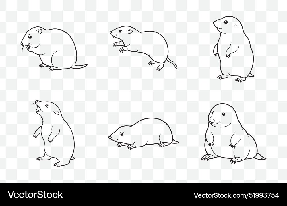 Print comprehensive mole line art set Royalty Free Vector