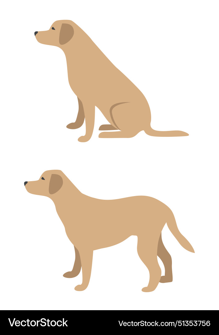 Big dog Royalty Free Vector Image - VectorStock