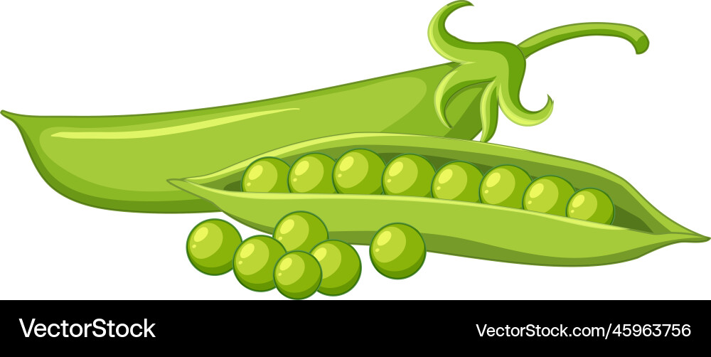 Green peas in a pod Royalty Free Vector Image - VectorStock