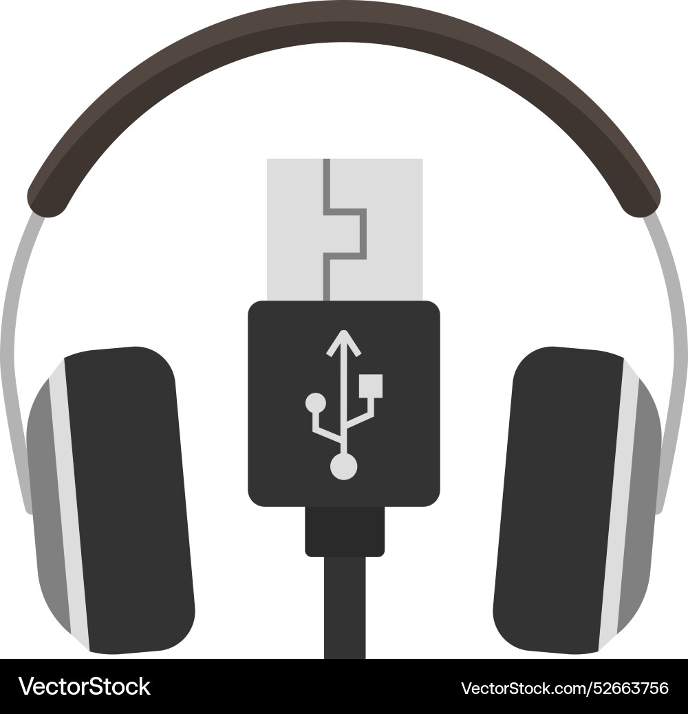 Headphones with a usb connector Royalty Free Vector Image