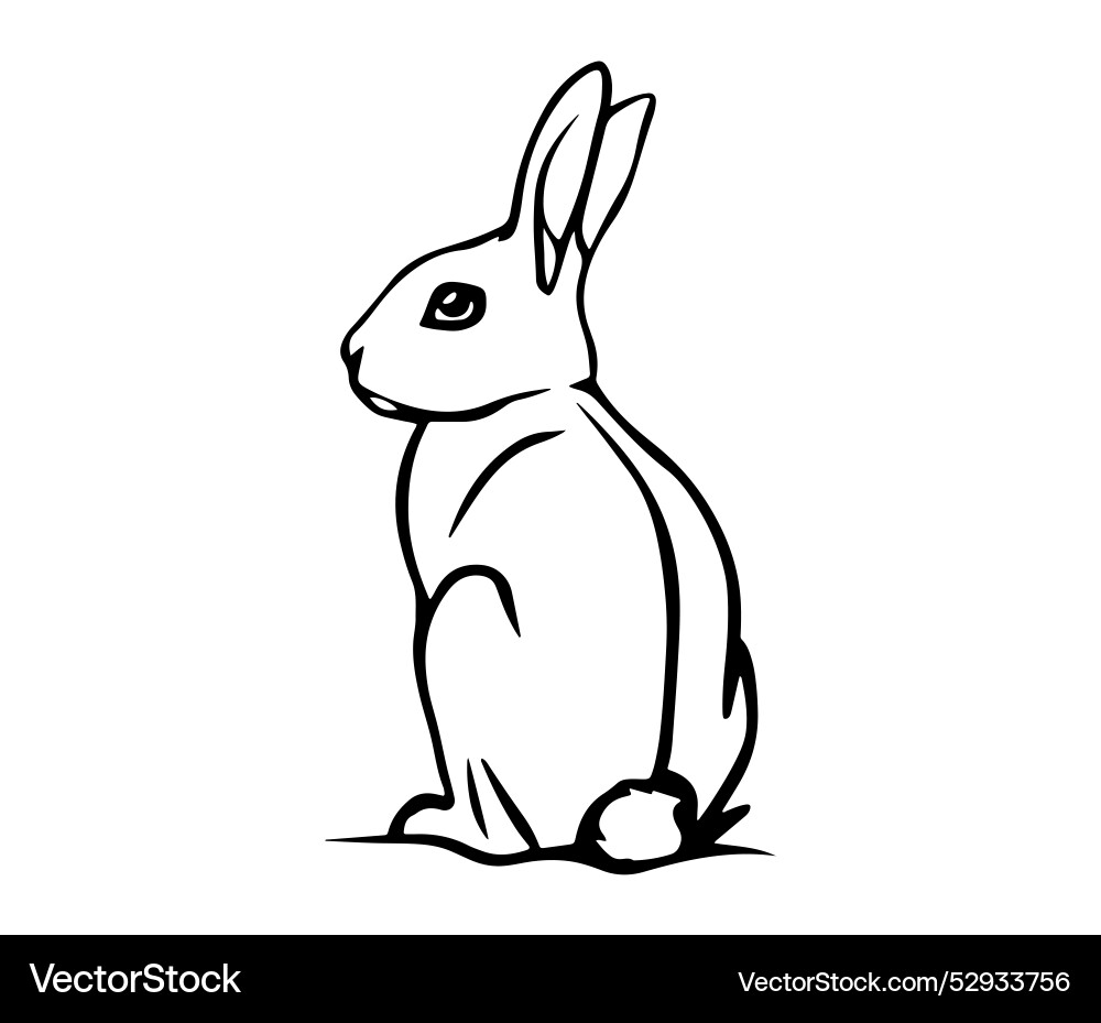 Outline of a rabbit Royalty Free Vector Image - VectorStock