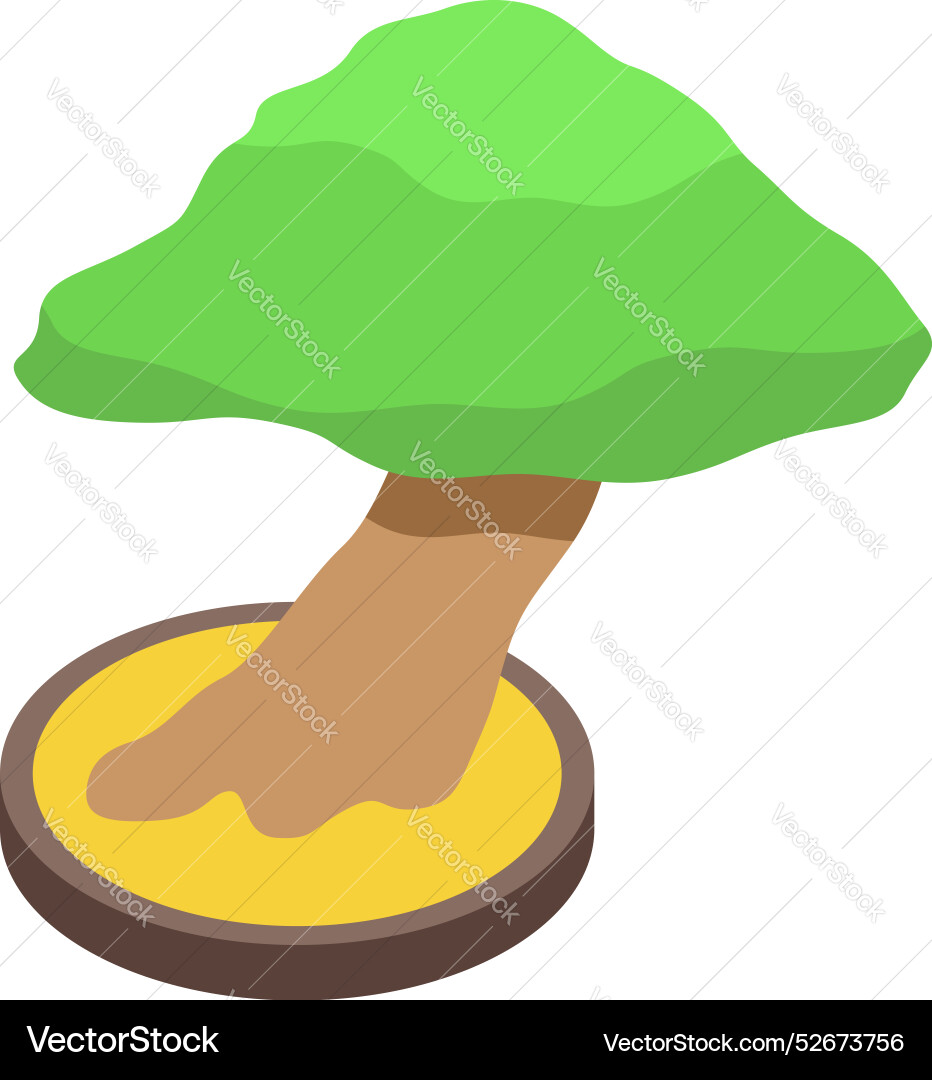 Small bonsai tree growing in a pot isometric view Vector Image