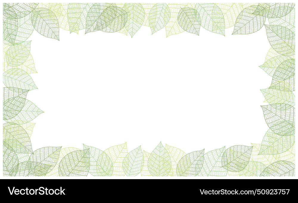 Frame with leaf veins pattern Royalty Free Vector Image