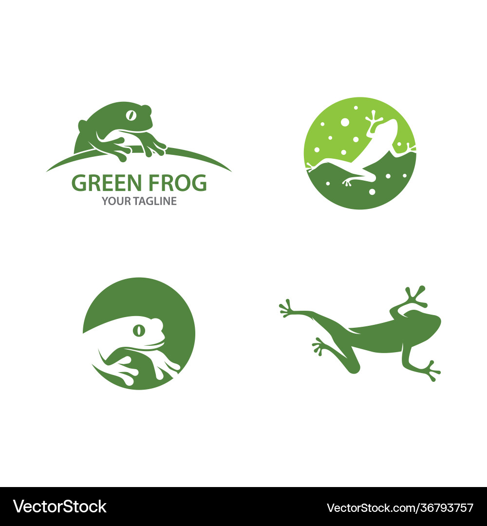 Green frog Royalty Free Vector Image - VectorStock