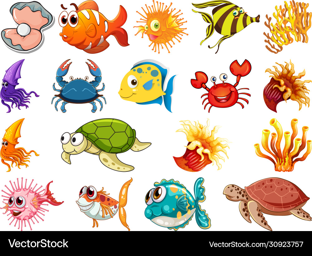 Large set sea creatures on white background Vector Image