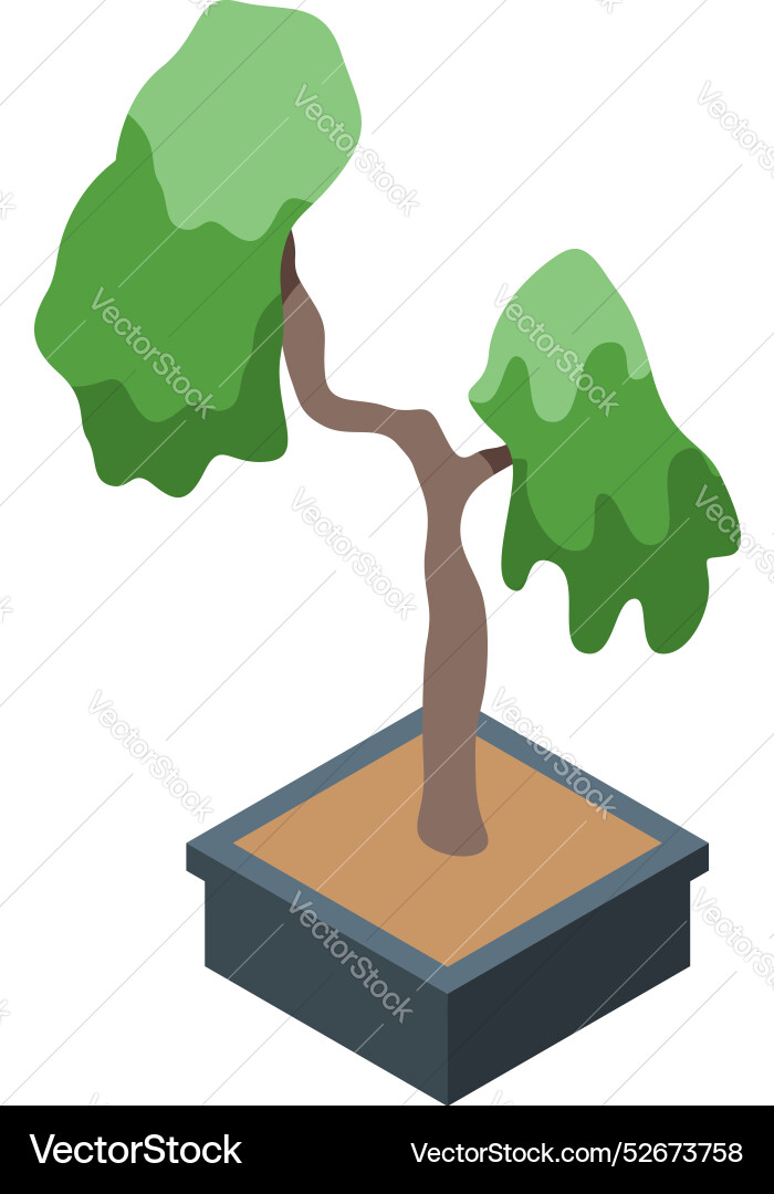 Small bonsai tree growing in pot isometric icon Vector Image