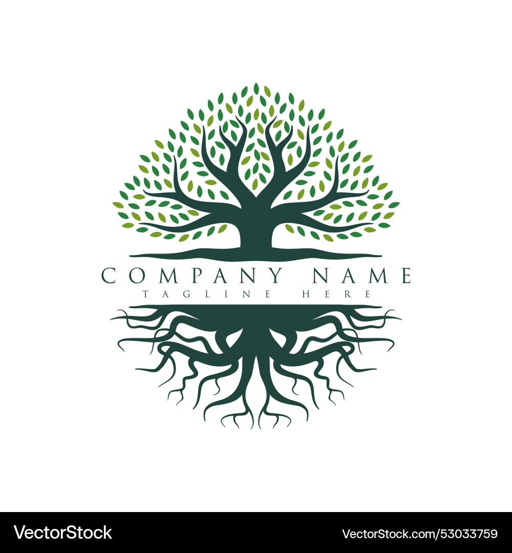 Tree and roots logo design isolated abstract Vector Image
