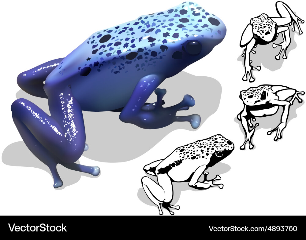 Blue poison dart frog set Royalty Free Vector Image