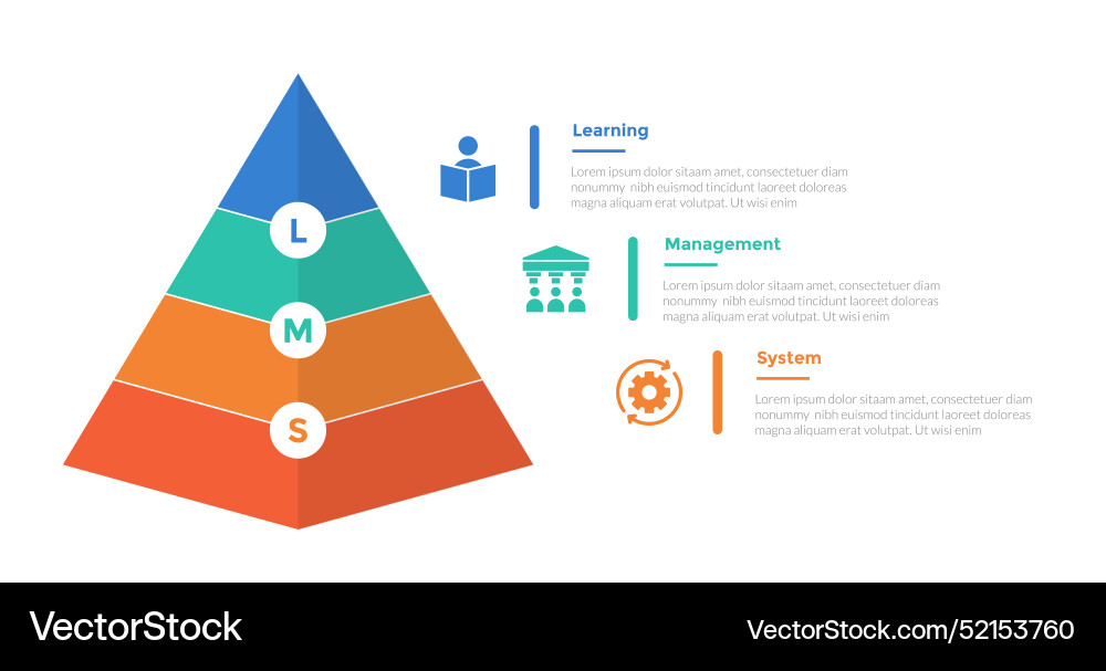 Lms learning management system infographics Vector Image