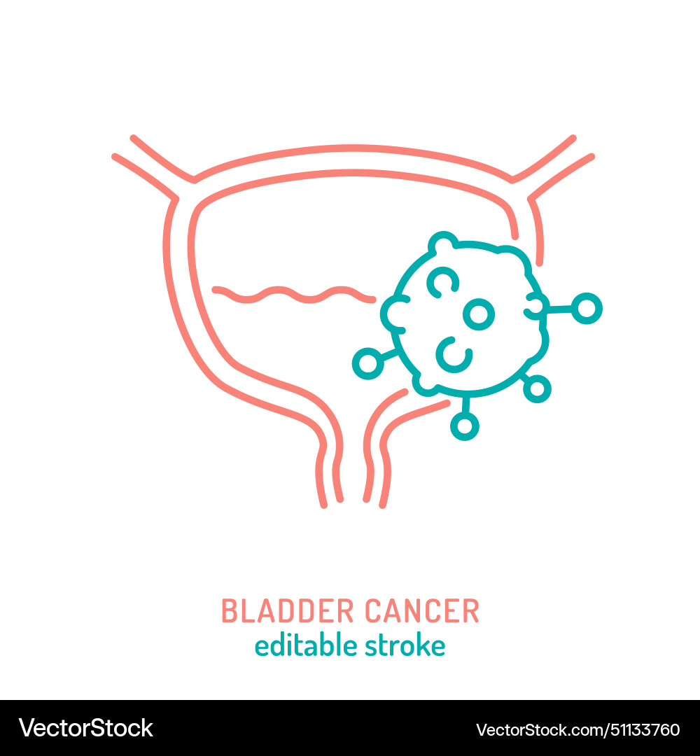 Bladder Vector Images (over 10,000)