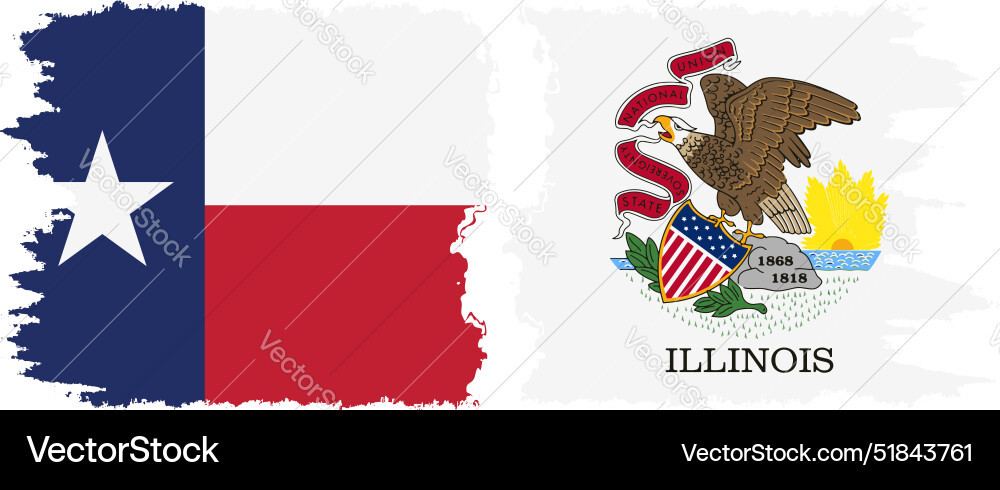 Illinois and texas states grunge brush flags Vector Image
