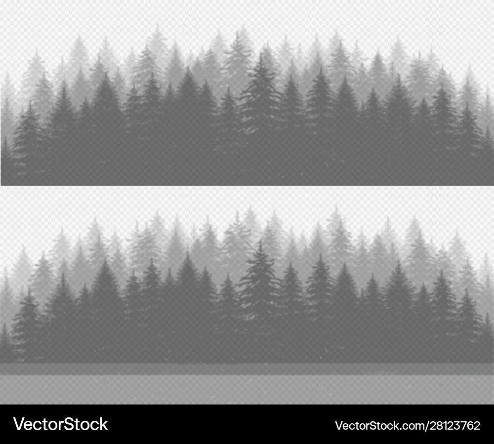 Coniferous pine forest with fir trees transparent Vector Image