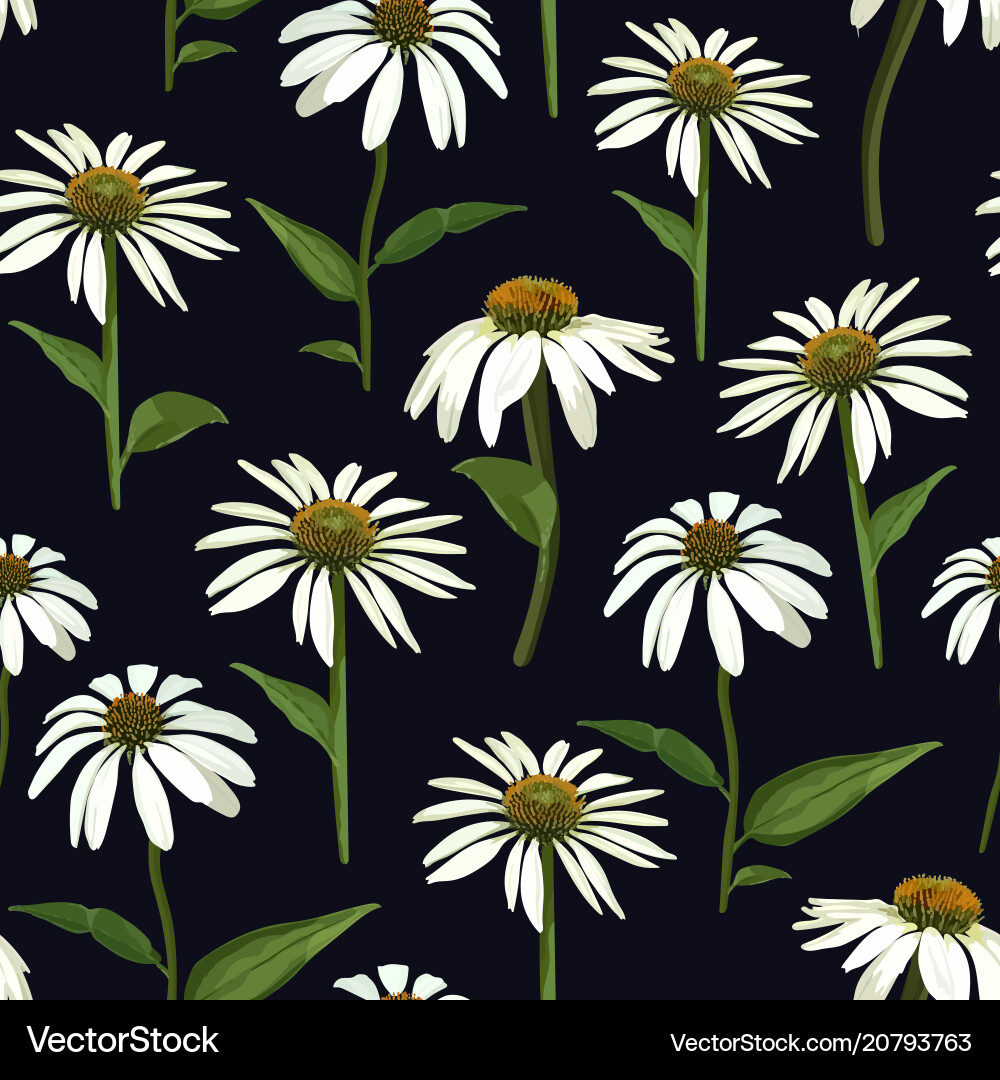 Chamomile Flowers Seamless Pattern Royalty Free Vector Image