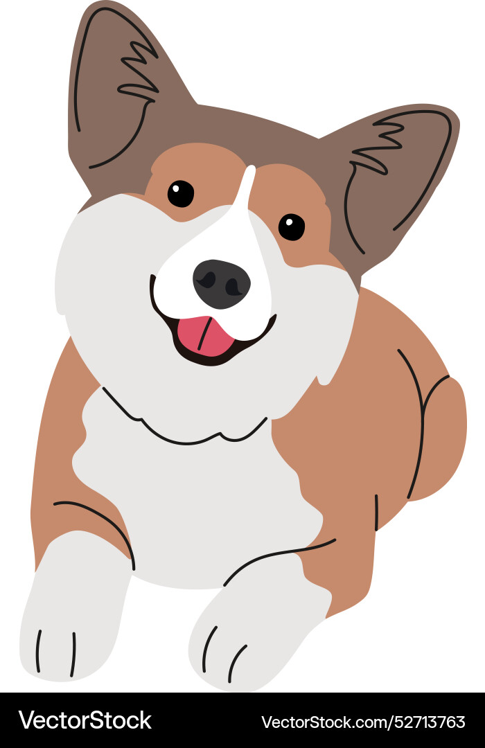 Corgi breed dog on a white background Royalty Free Vector