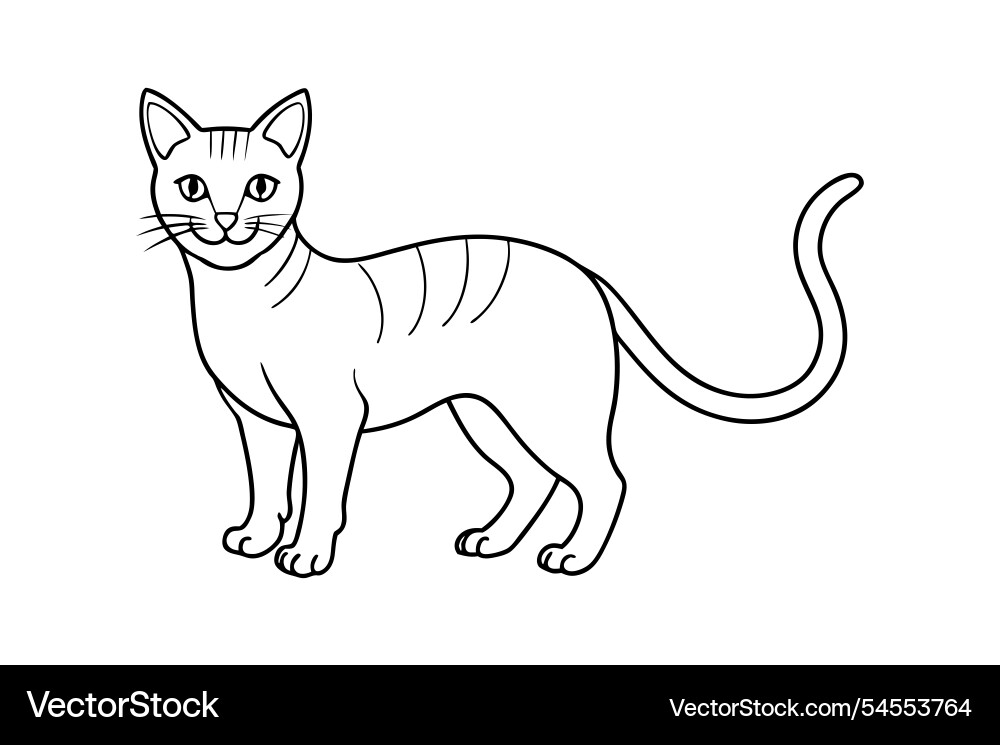 Cat line art drawing Royalty Free Vector Image