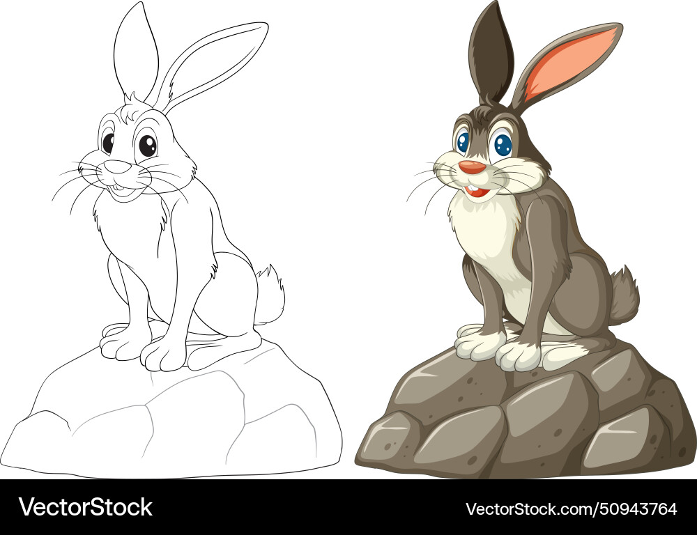 Colorful and outlined rabbit sitting on a rock Vector Image