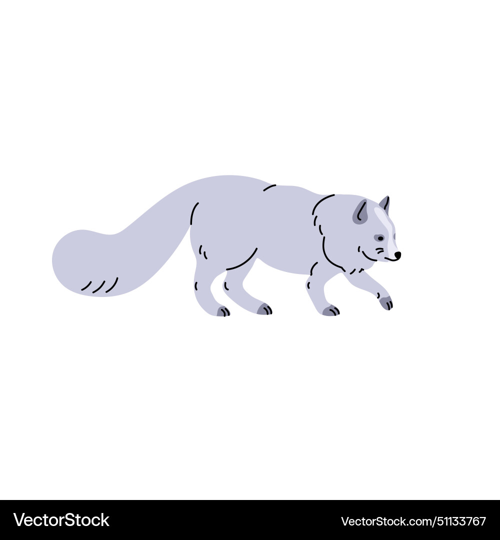 Arctic or snow fox walking cute little furry Vector Image